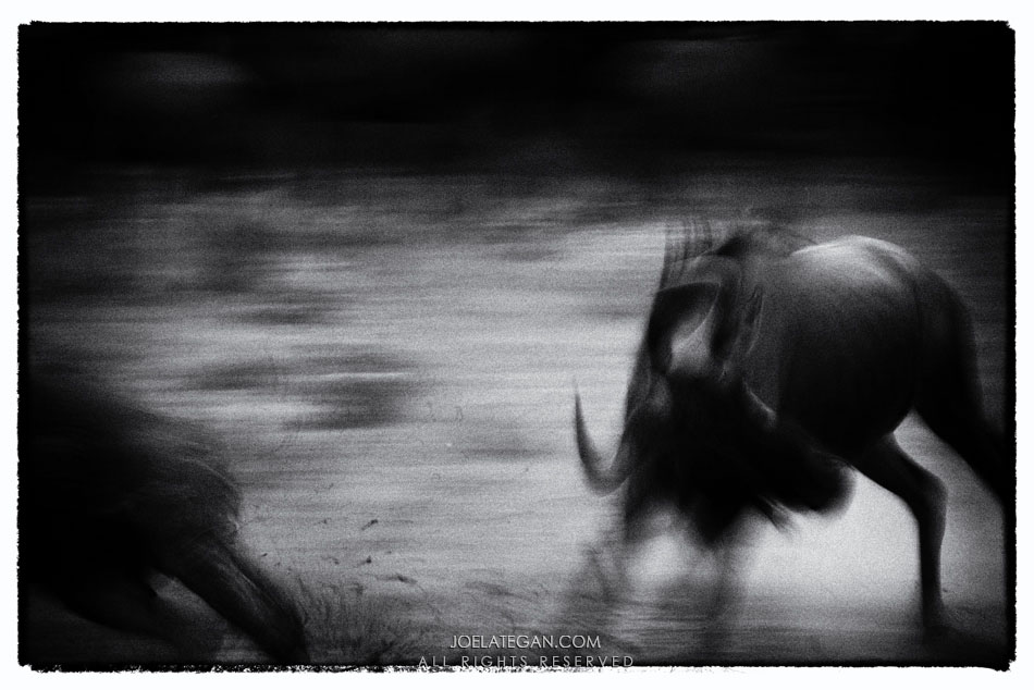 Black and White Noir Photo Collection