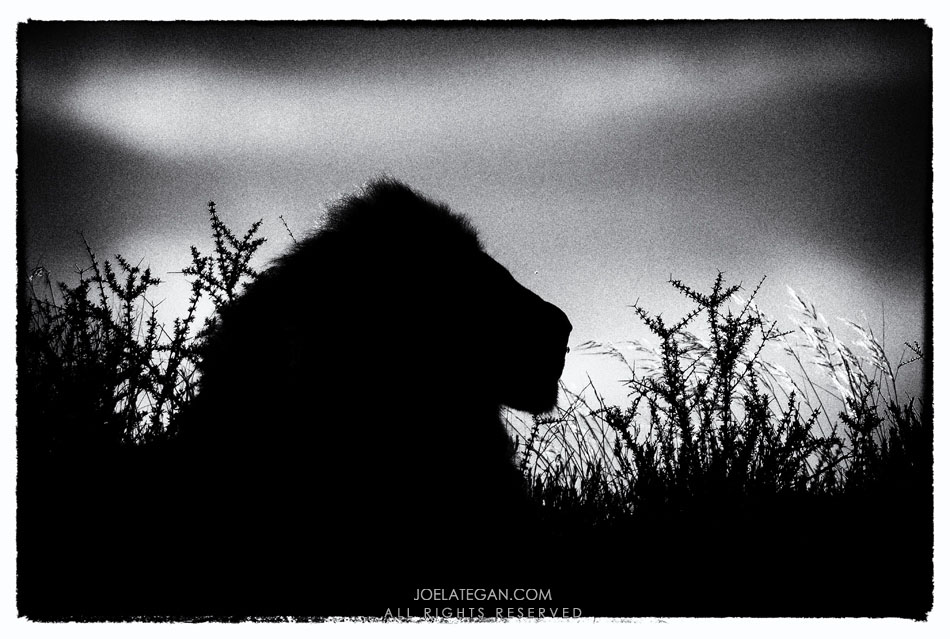 Black and White Noir Photo Collection